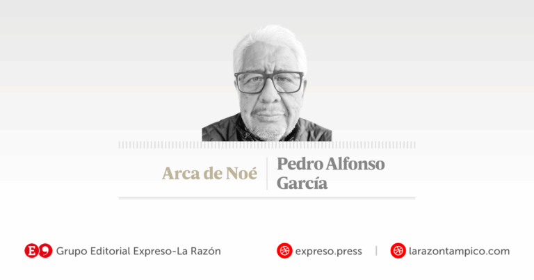 El poder de la toga - Expreso de Tamaulipas