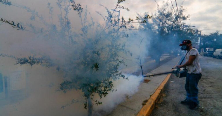 Suman 4 muertes por dengue y más de dos mil casos en México - Expreso ...